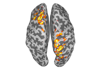 Single simulation — reg-connectivity 0.0 documentation